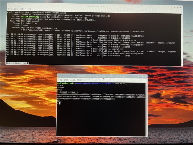 Matter CHIP-Tool Error: No Adapter Available for new connection establishment (Thingy:53 Matter ...