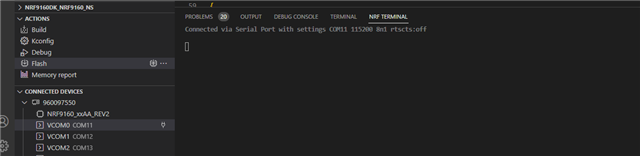 Nrf9160 Cannot Be Started After Running Nvs Example Nordic Qanda Nordic Devzone Nordic Devzone