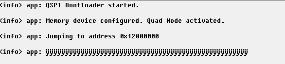 Nrf52840 Qspi Xip Mode Can Not Work Nordic Qanda Nordic Devzone Nordic Devzone